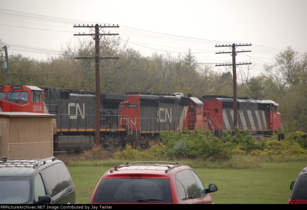 CN 5446